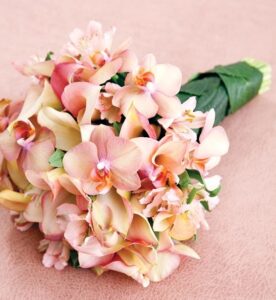 The Language of Flowers: Symbolism and Meanings Behind Blooms